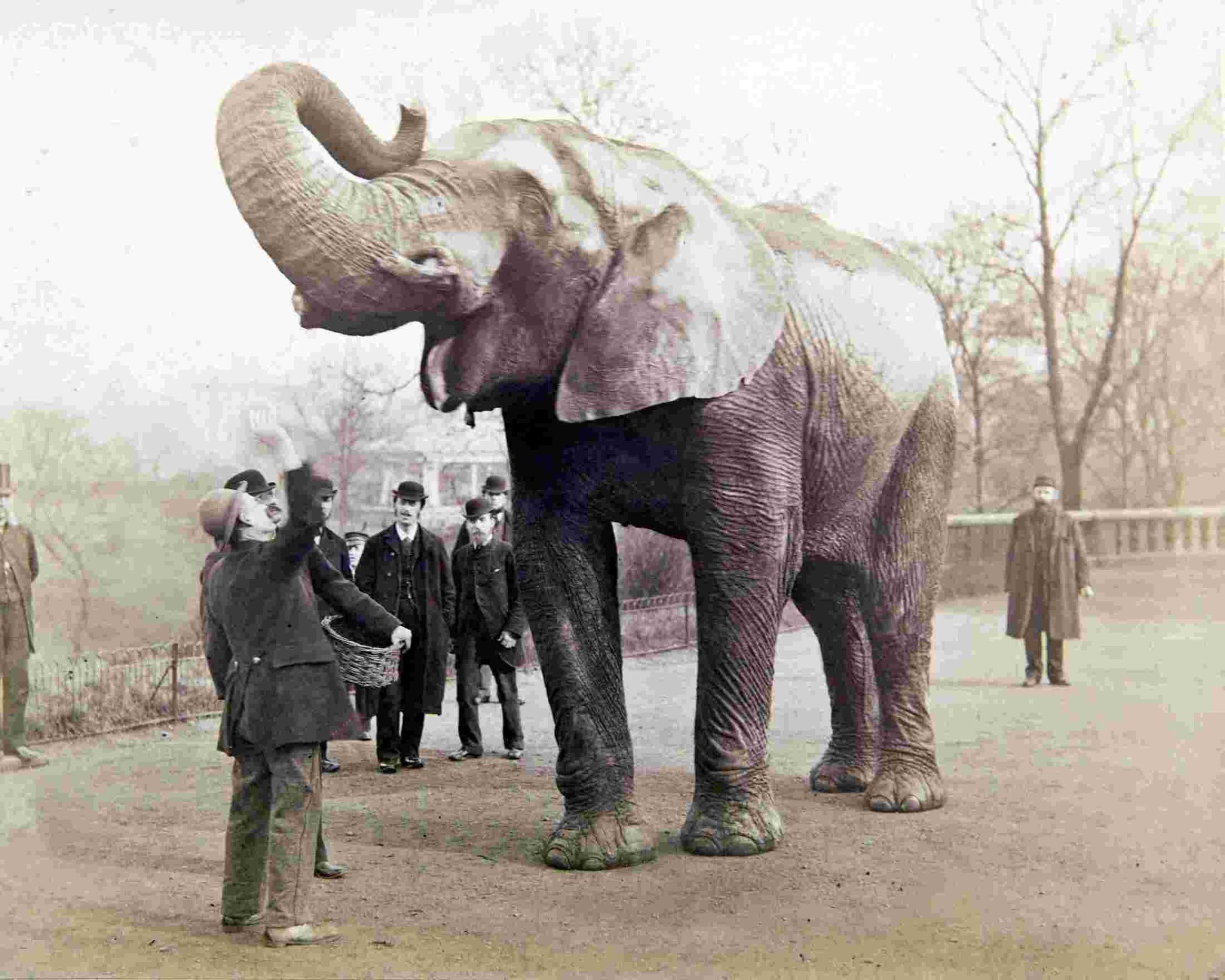 Registration Open for SHNH & ZSL Summer Meeting 2026 The Zoological ...